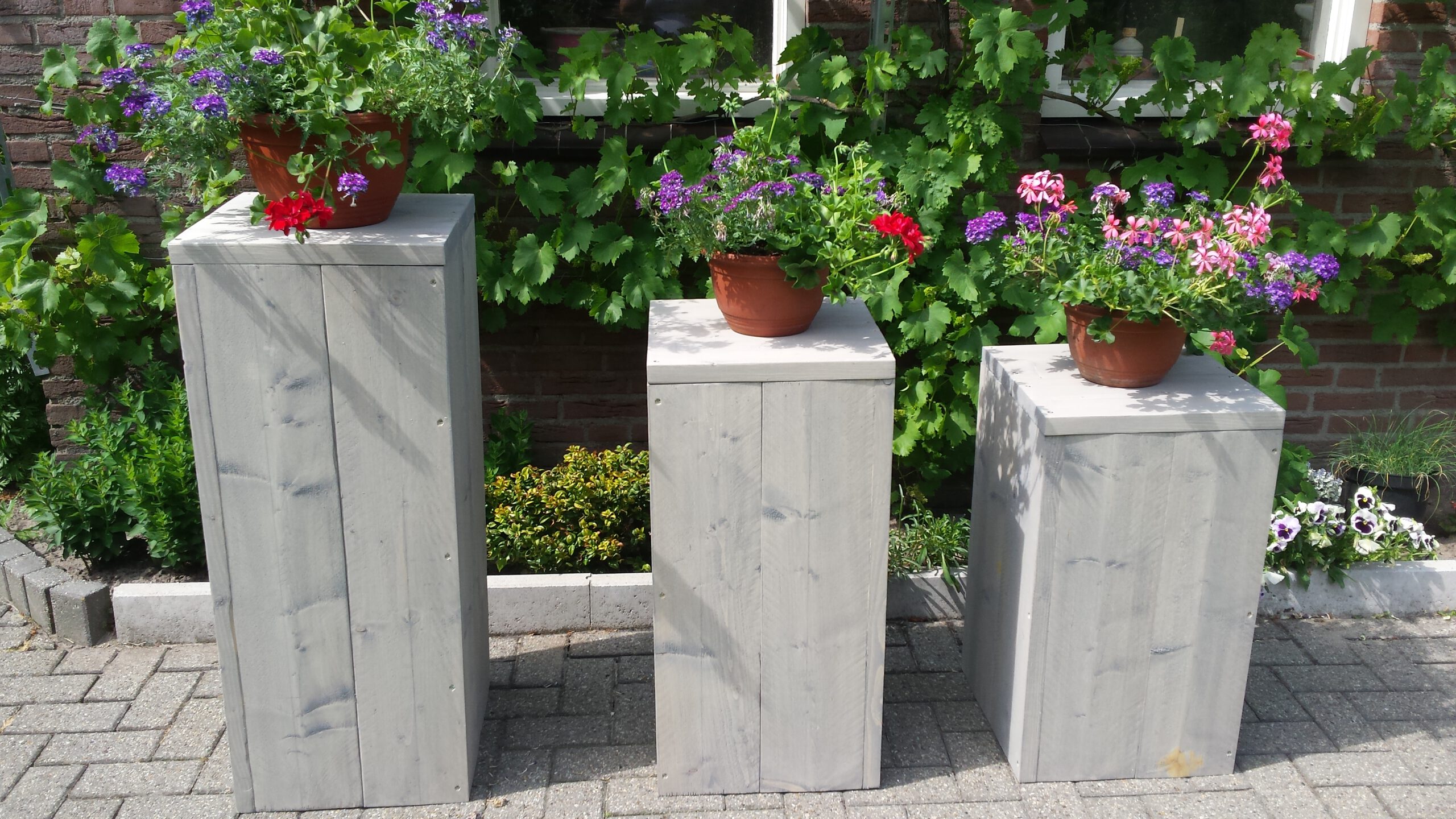 Zuil / zuilen – Aartssteigerhout